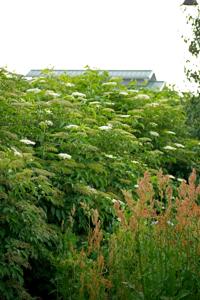 Gregg Bush is clear choice for Fifth Ward City Council seat | Guest ...