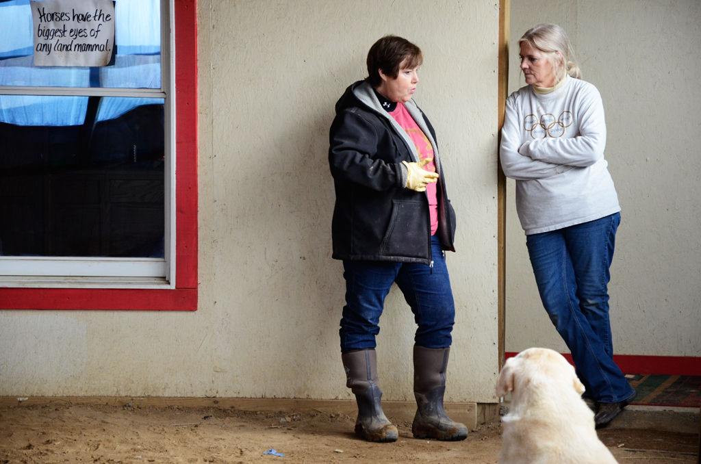 Son's recovery inspired Bonnie Riley's passion: her equine therapy ...