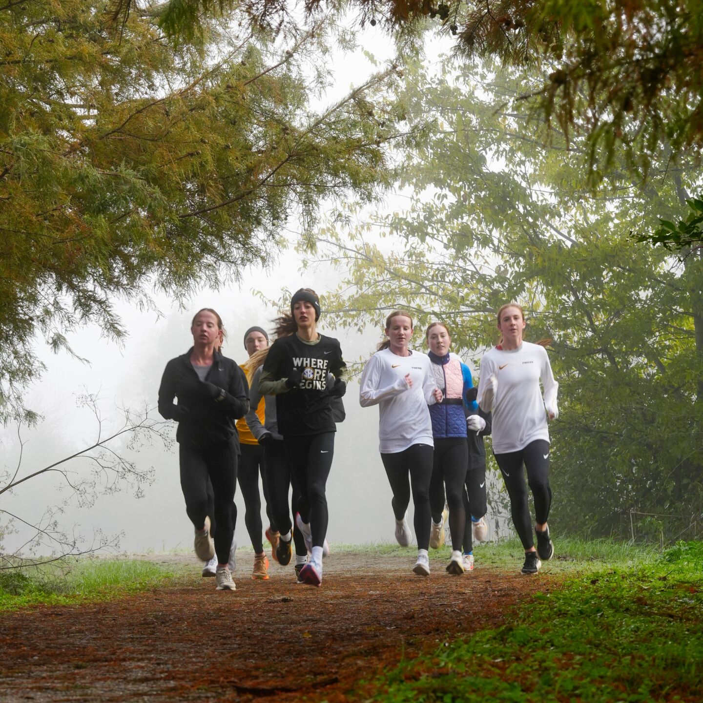 Young, hungry Mizzou women's squad chasing glory at NCAA Cross Country ...