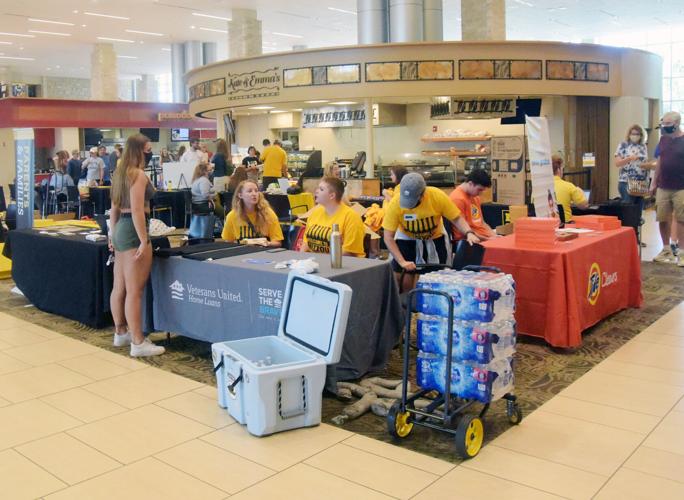 Volunteers help new tigers with early move-in | Photos ...
