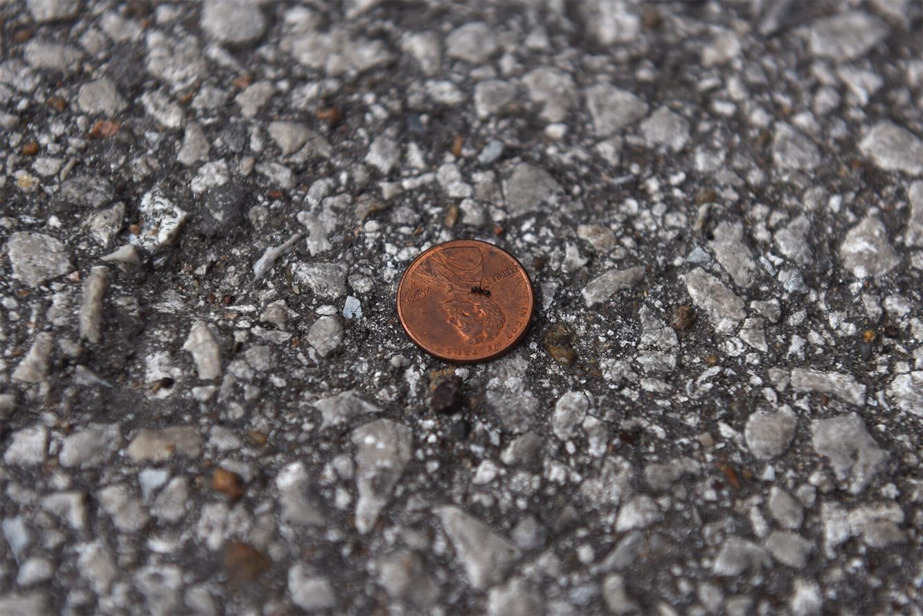 U.S. Treasury is ending the production of pennies. Here's what that ...