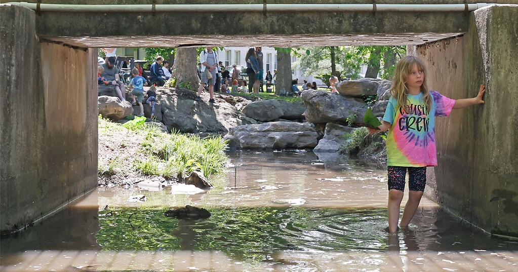 Columbia Area Earth Day Festival grows in its 35th year | Local ...