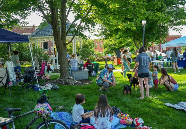 Bags 'n Wags festival hosts event for dog companions | Local ...