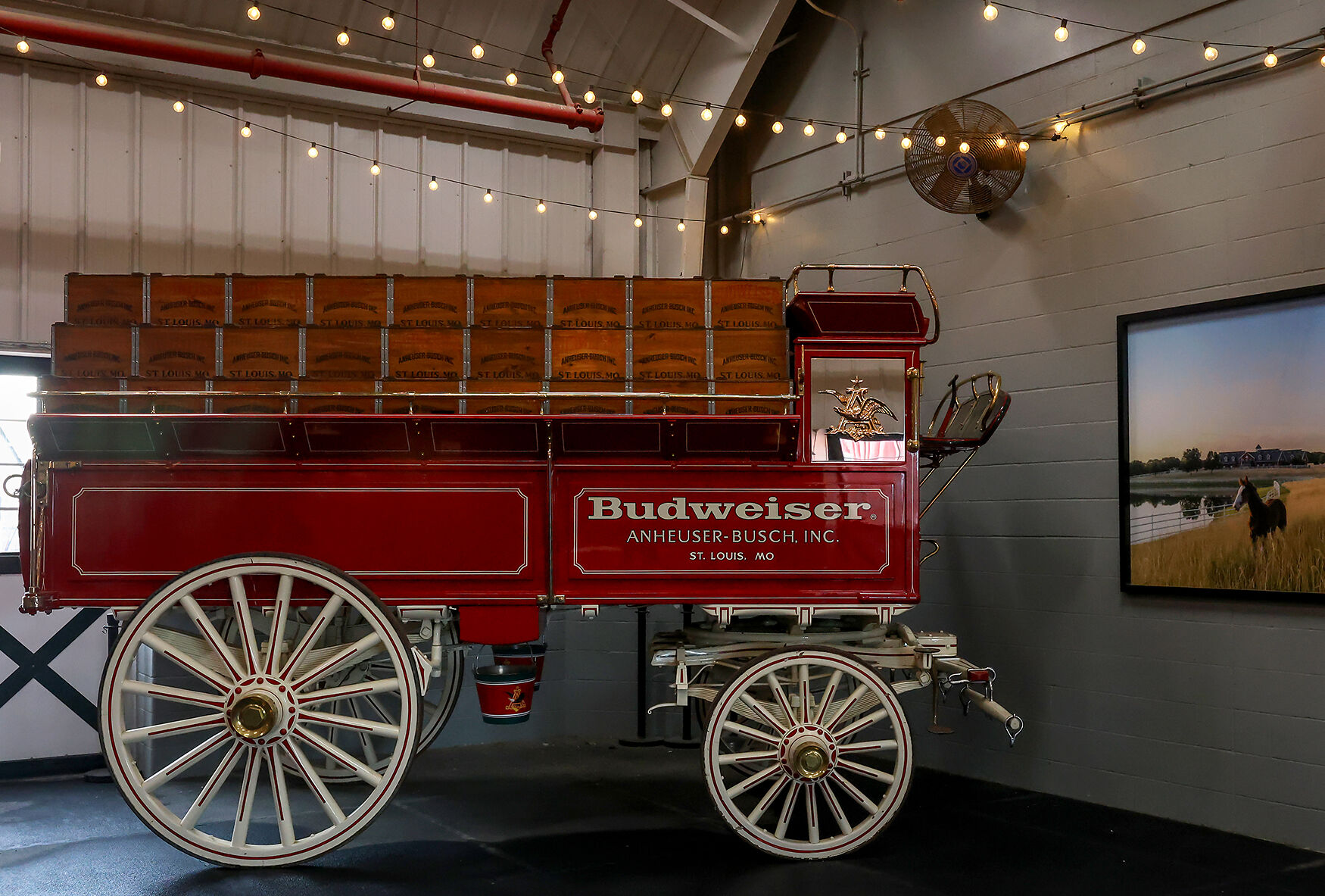 Warm Springs Ranch Clydesdale foul in Super Bowl commercial | Local ...