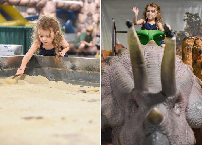 Roaring with excitement: Dinosaur Adventure comes to Columbia | Local ...