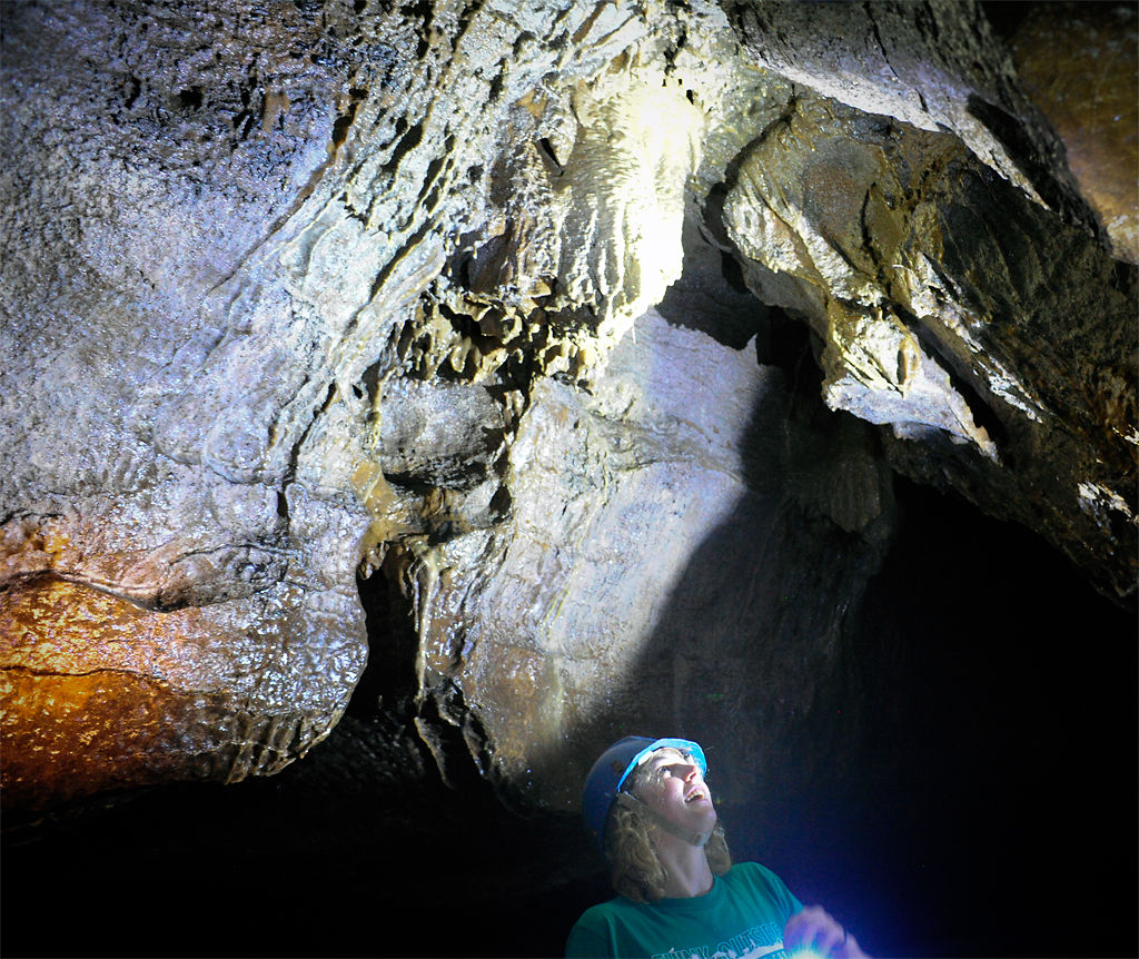 Group stakes out Rock Bridge cave to observe frenzied bats | Local ...