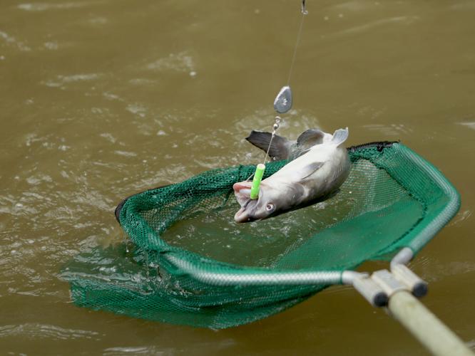 Kids go birding, hiking and fishing along the Missouri River | News ...