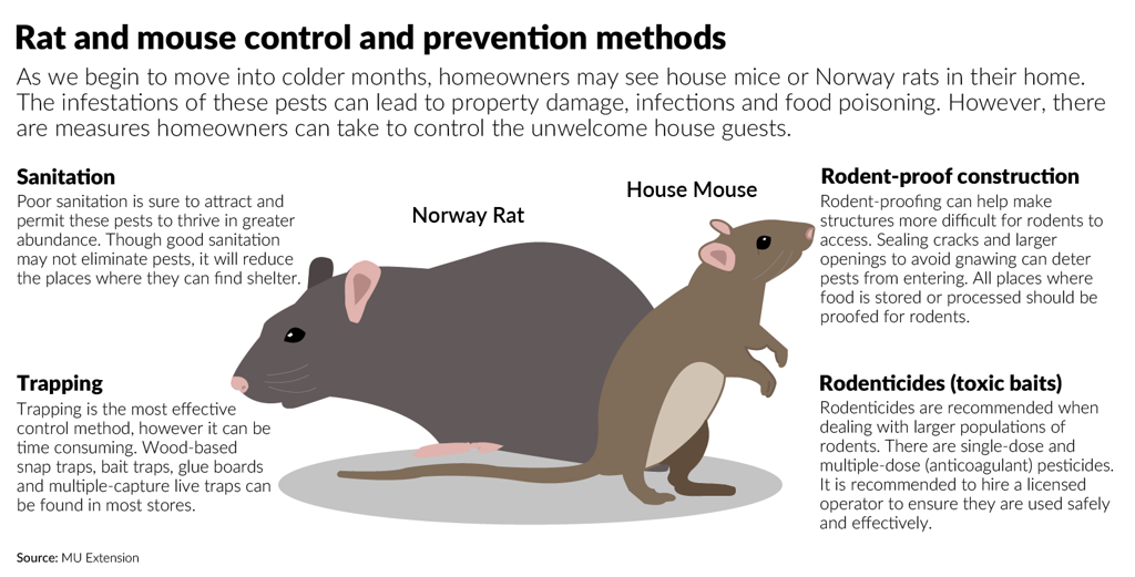 rodenticides are