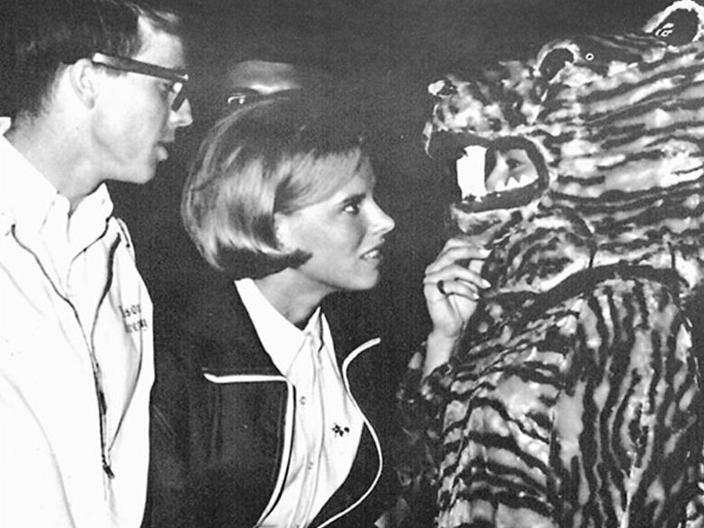 After decades of tail-swinging, Truman the Tiger turns 30 | Local ...