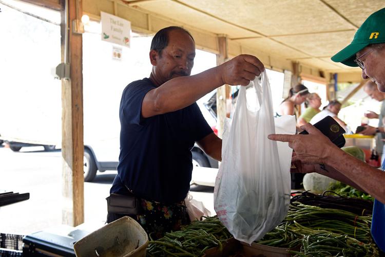 Traditional Hmong farmers in Missouri embrace new techniques | Higher ...