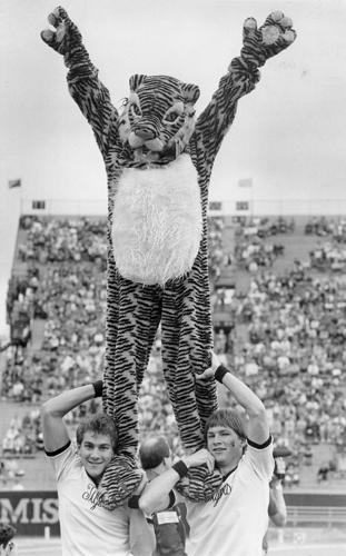 After decades of tail-swinging, Truman the Tiger turns 30 | Local ...