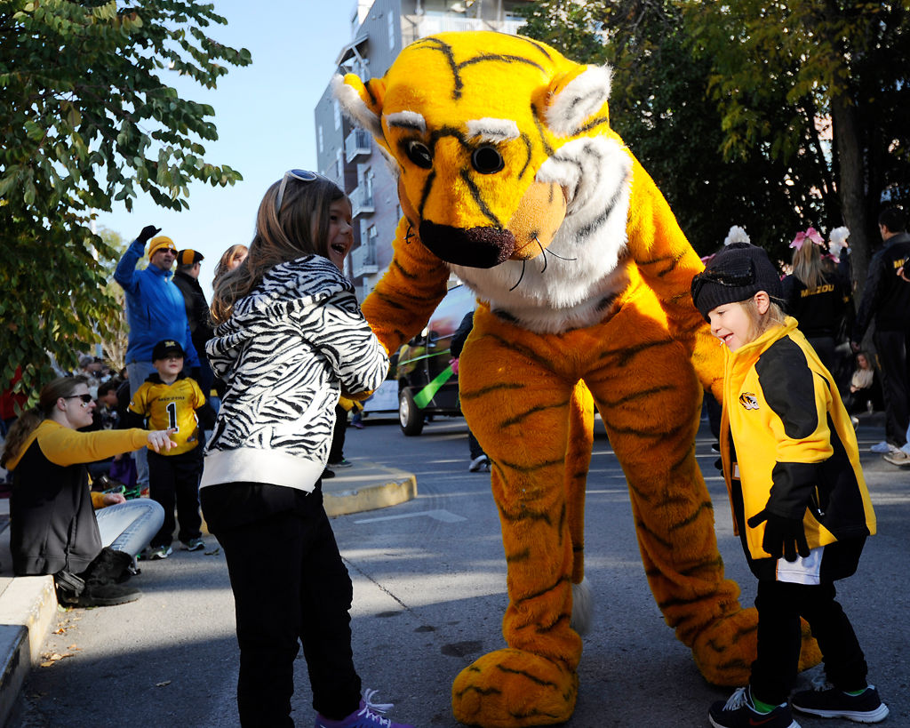 After decades of tail-swinging, Truman the Tiger turns 30 | Local ...