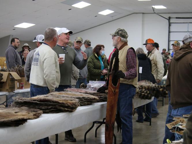 More Missouri trappers turn to damage control market | State News ...