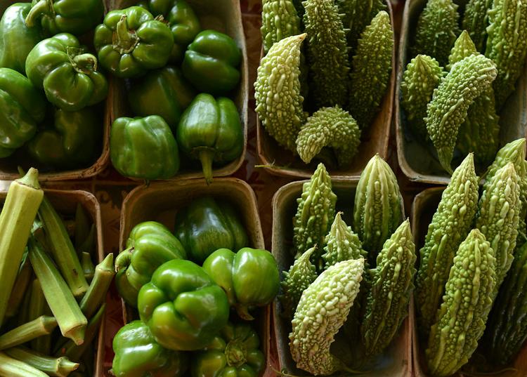 Traditional Hmong farmers in Missouri embrace new techniques | Higher ...