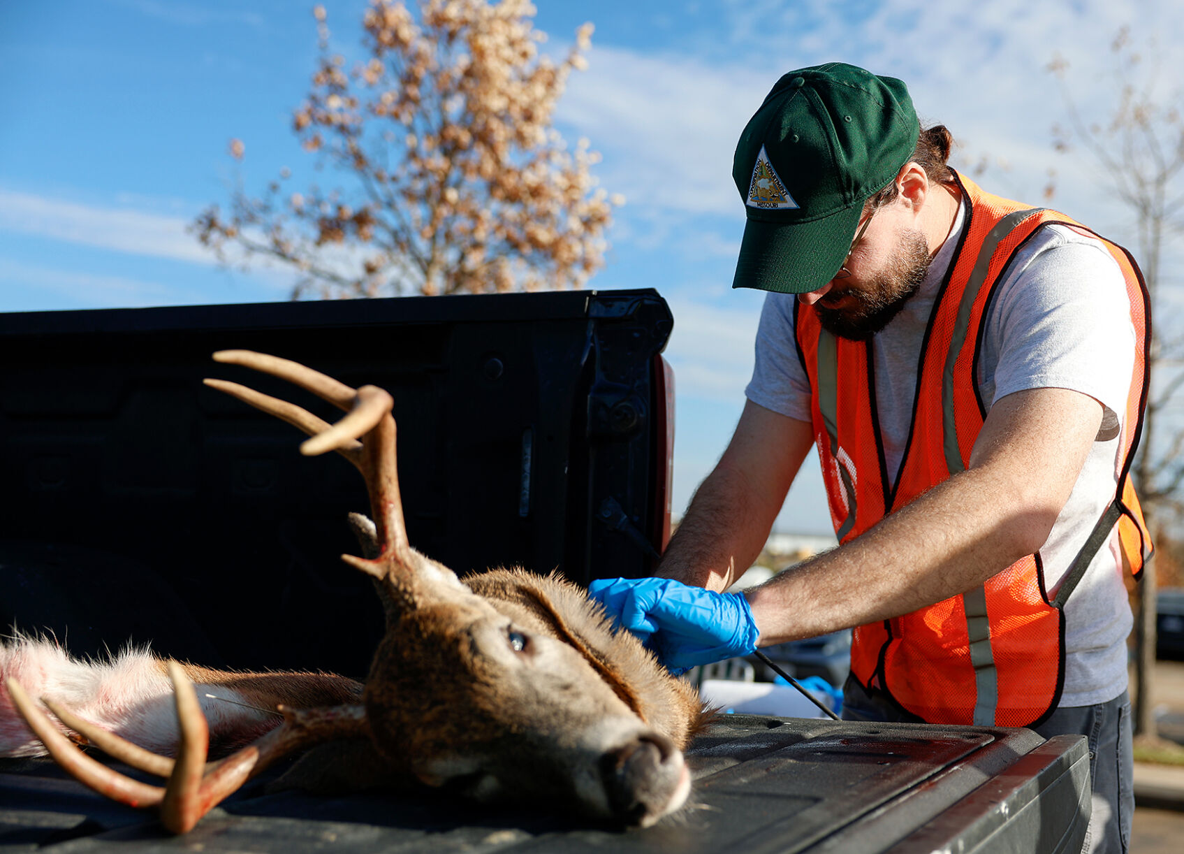 Boone County begins mandatory deer testing for chronic wasting disease ...