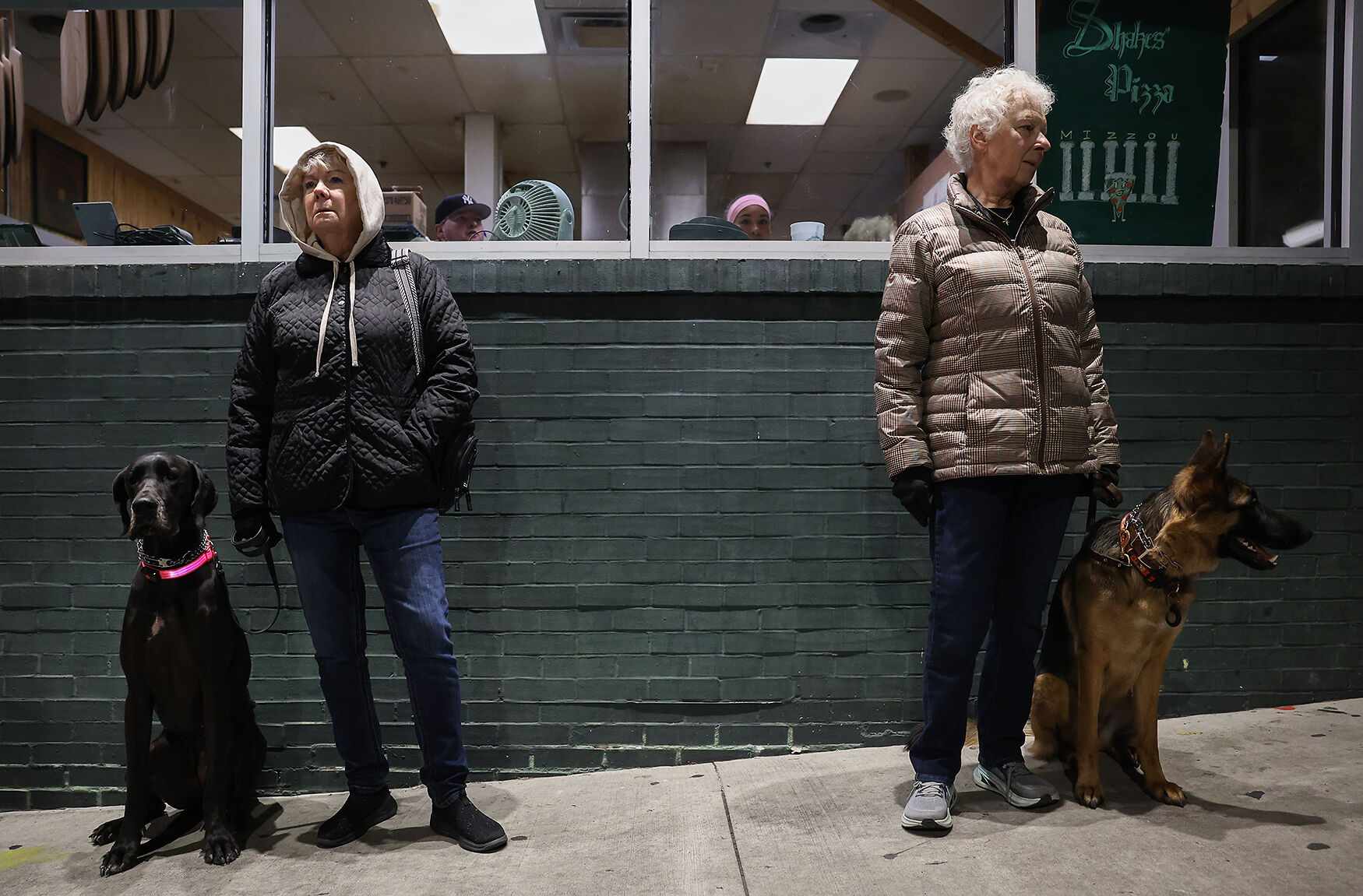 Downtown pack walk helps dogs build confidence, training skills | Local ...