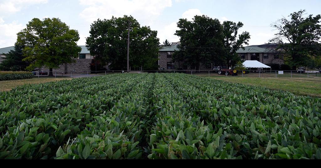 PHOTO GALLERY: Sanborn Field turns 130 | Photos | columbiamissourian.com