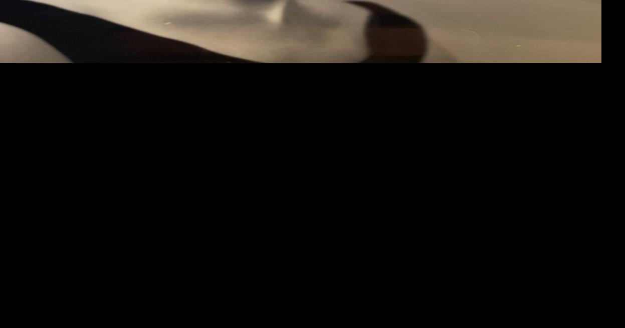 Anne Fisher Manahan | | columbiamissourian.com