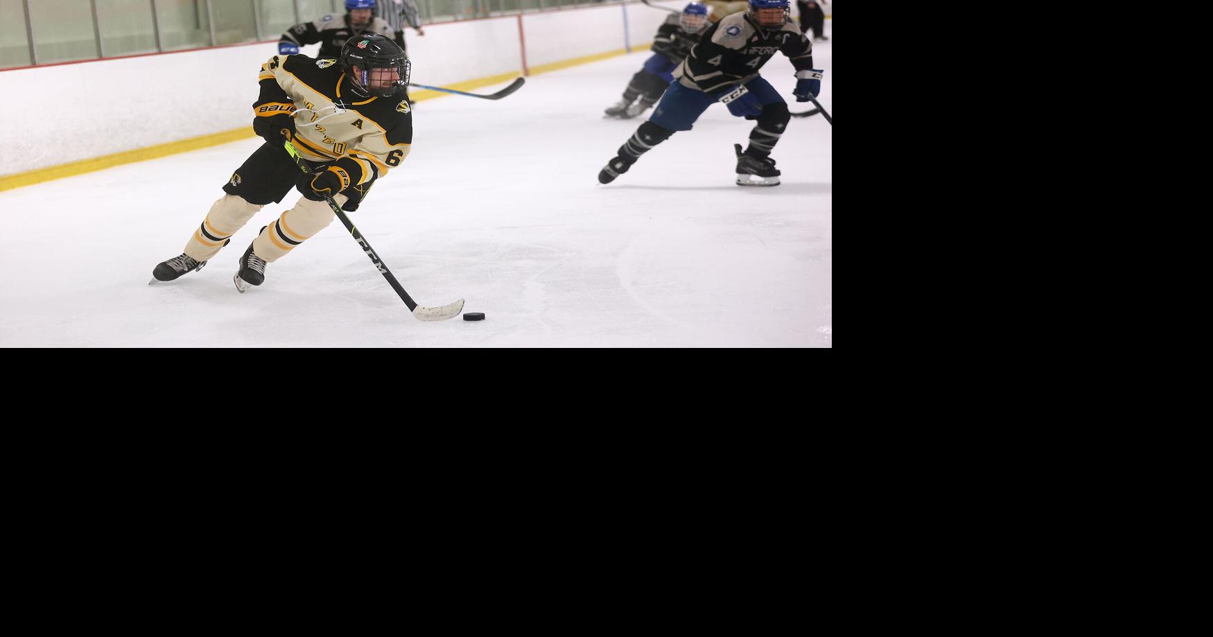 MU hockey earns No. 4 seed in ACHA National Championship | Mizzou ...
