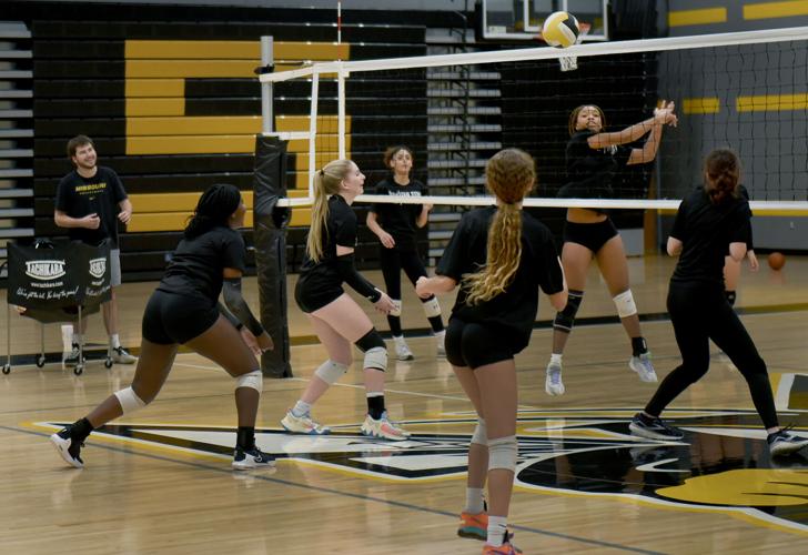 Nicole Murphy leads another turnaround, this time at Fulton | Fulton ...