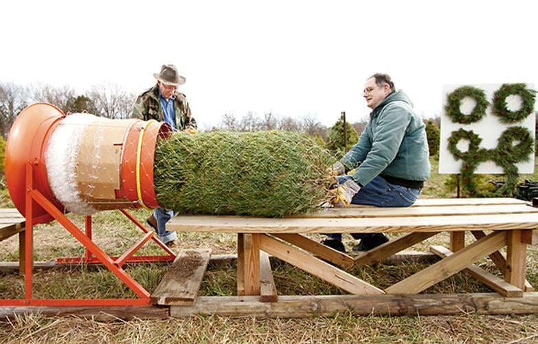 Cultivating a vision: Alspaugh family looks forward to their farm's ...