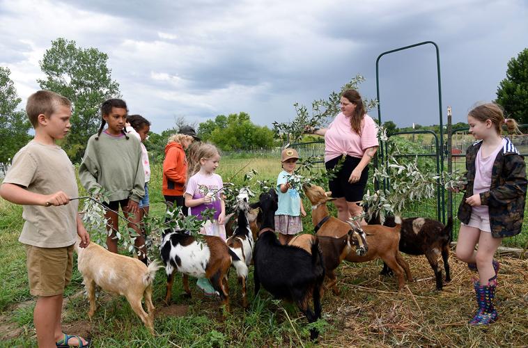 Kids get their hands dirty at farm camp | News | columbiamissourian.com