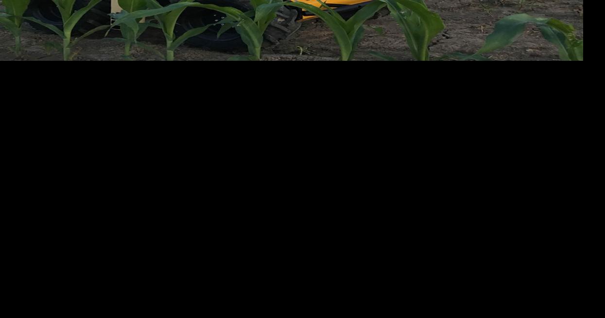 MU has developed robots that help analyze soybean and corn crops ...