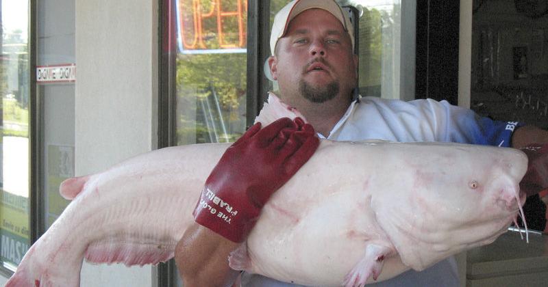 Fisherman hooks albino rarity | Local | columbiamissourian.com