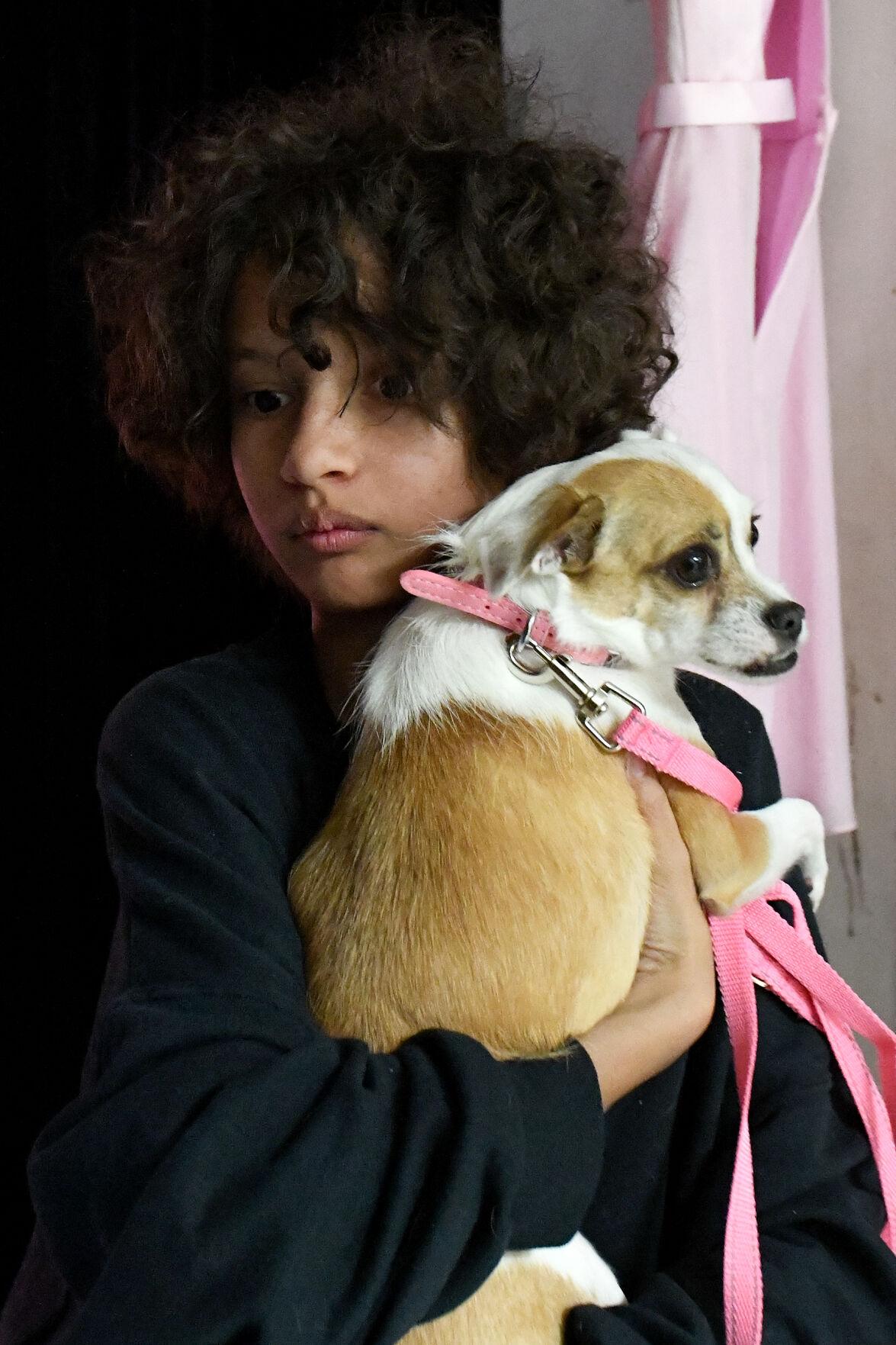 Hickmans Legally Blonde Emphasizes Empowerment Of Women K 12