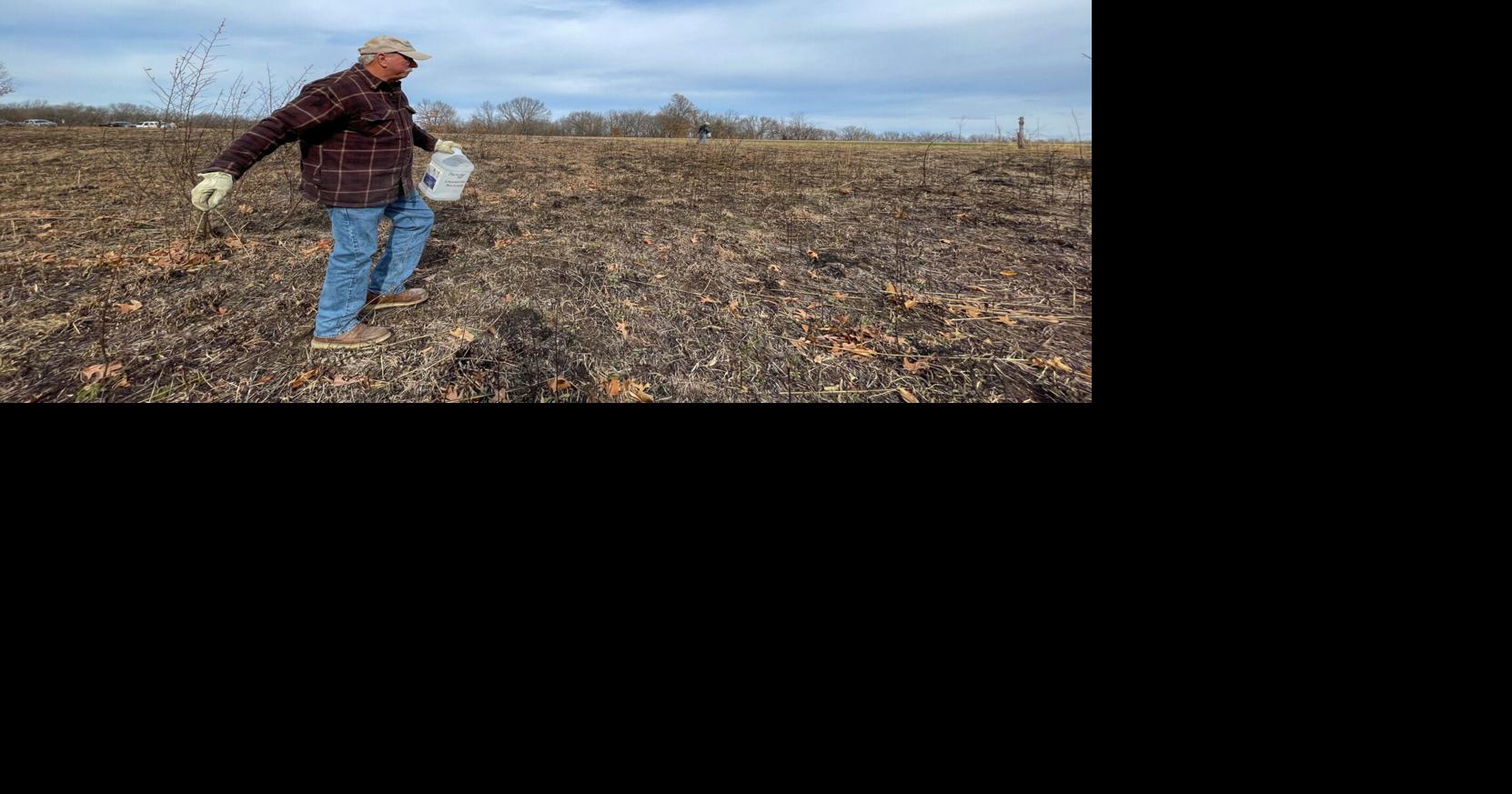 'Everybody can do their part': Restored prairies bring wildlife back to ...