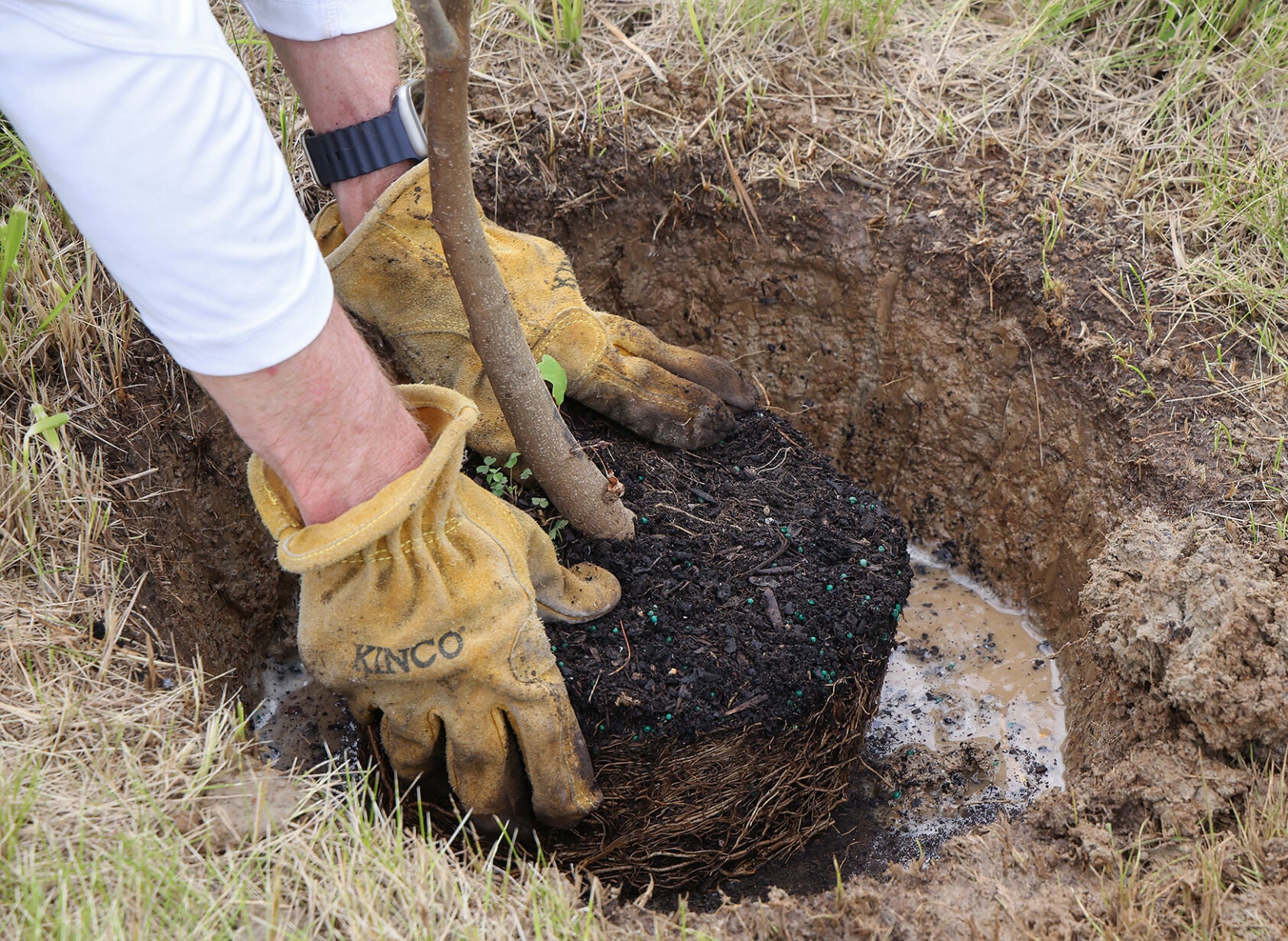 Ashland Betterment Coalition works to beautify the business district ...