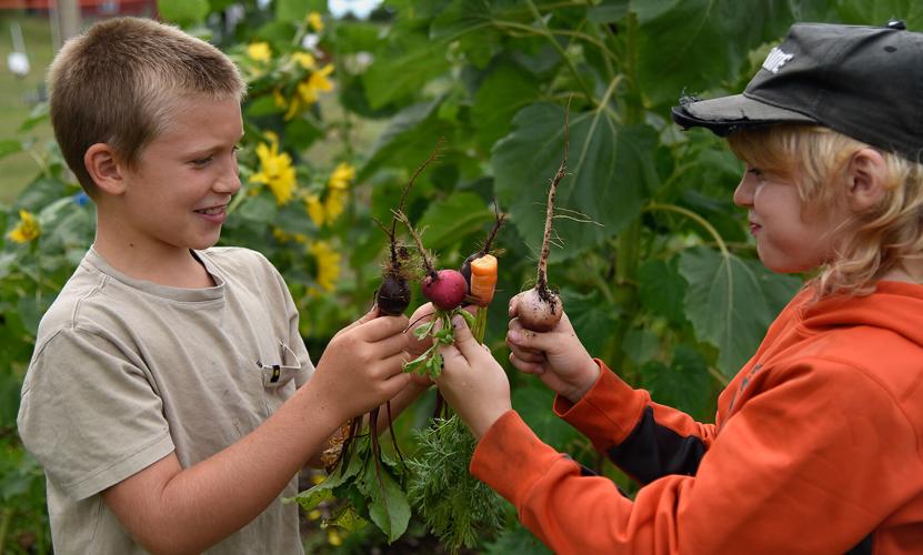 Kids get their hands dirty at farm camp | News | columbiamissourian.com