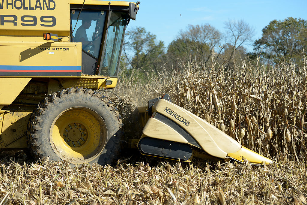 Heavy rains delay Missouri corn harvest | Local | columbiamissourian.com