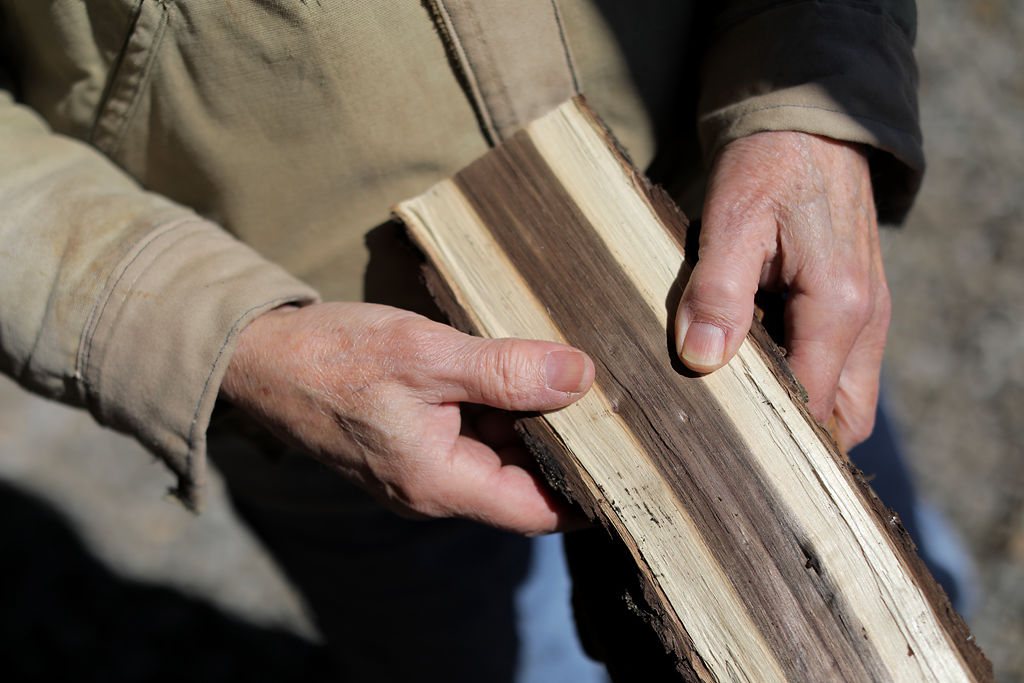 The key to a mid-Missouri walnut farmer's success? Patience. | Local ...