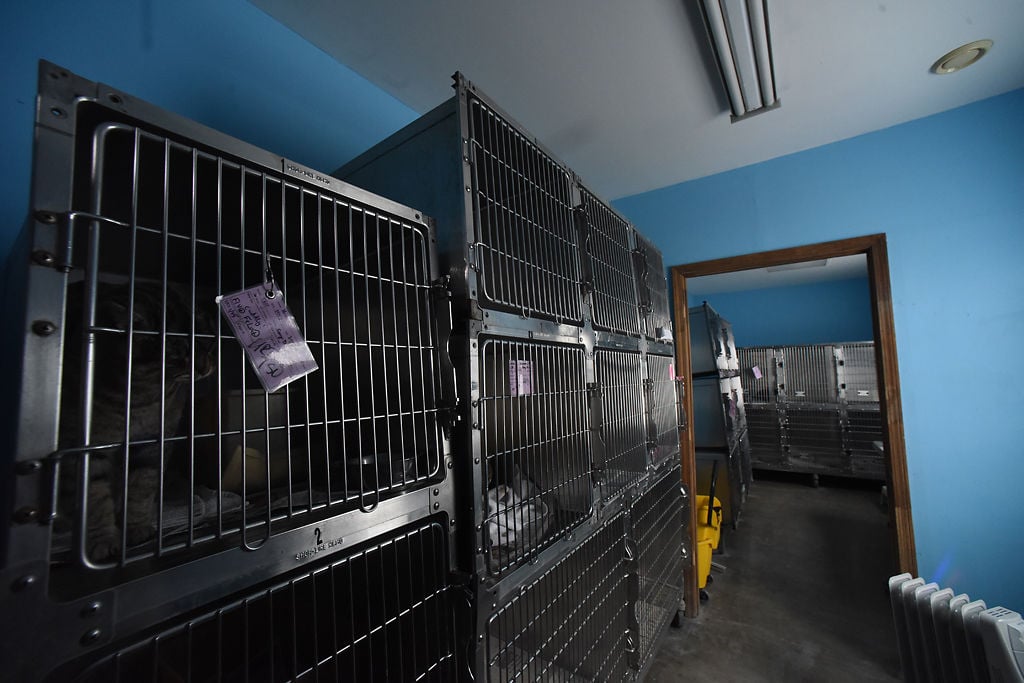 Humane Society eyes Potterfield land for new shelter | Local ...