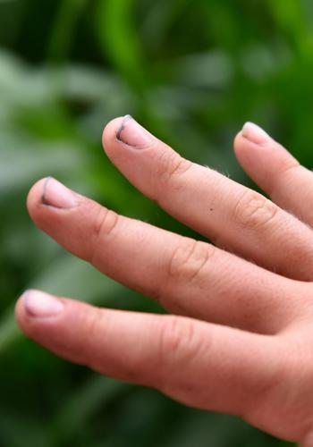 Kids get their hands dirty at farm camp | News | columbiamissourian.com