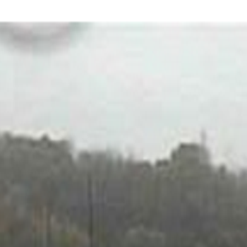 mark dickson accident