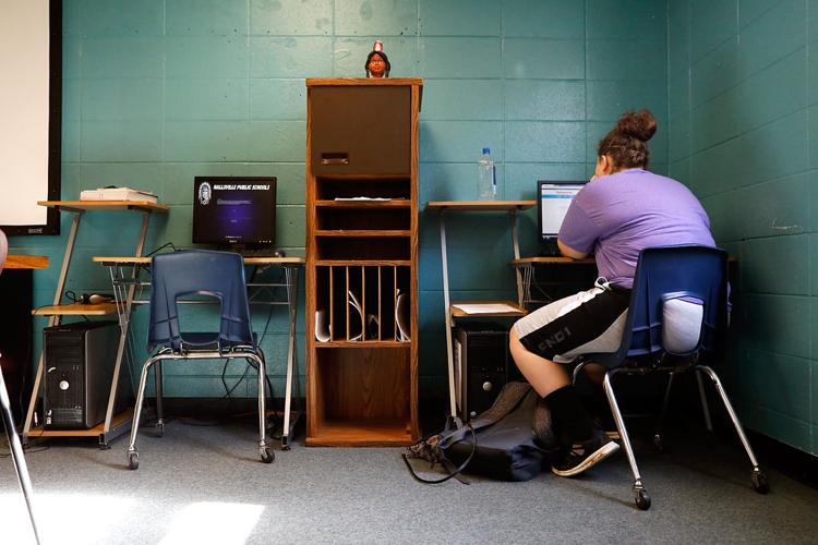 Efforts underway to expand access to virtual education, despite cut in ...