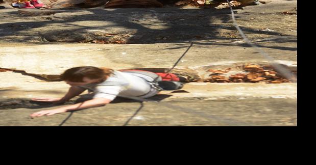 PHOTO GALLERY: Capen Park attracts nature lovers | Photos ...