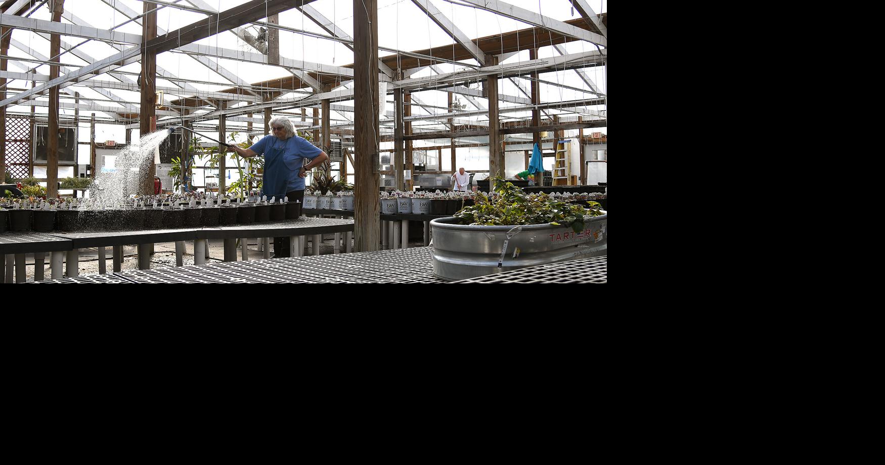 Carol Gasperson, left, waters plants, while Greenhouse Manager Brian ...