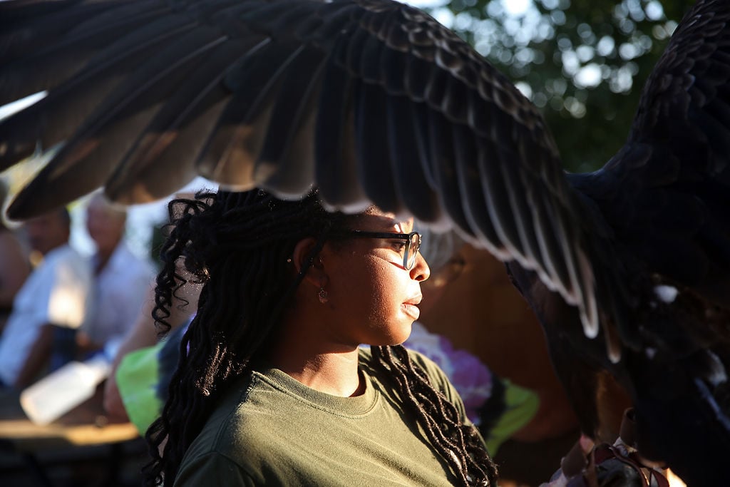 Owls released back into wild get new lease on life | Local ...