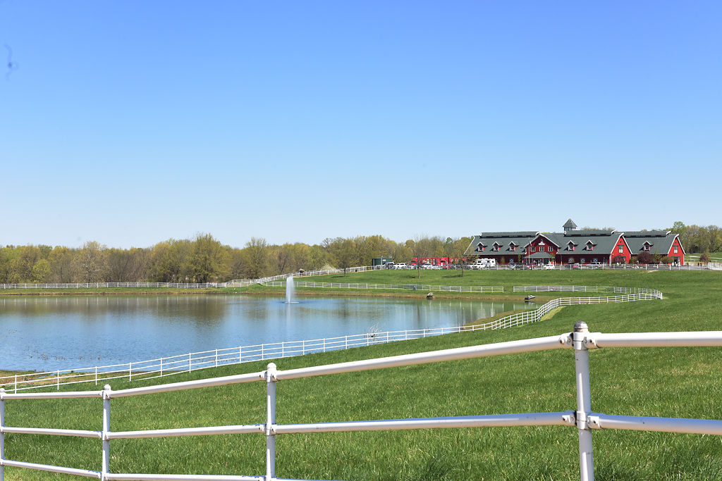 See where Budweiser Clydesdales are born at Warm Springs Ranch ...
