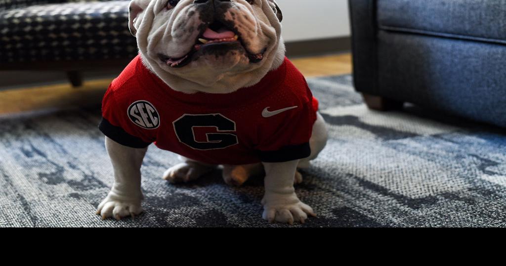Uga X poses for a portrait (copy) | Sports | columbiamissourian.com