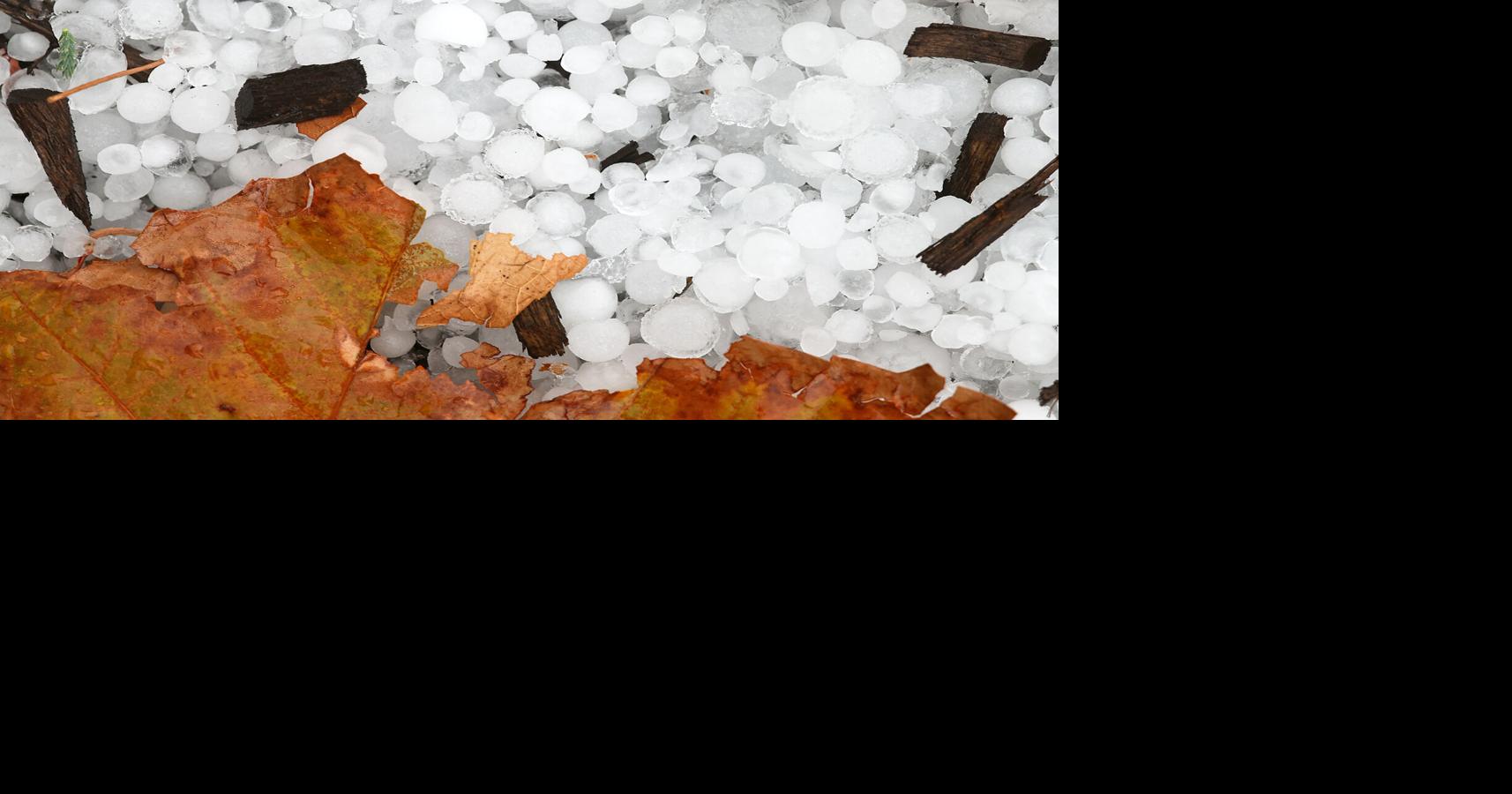 Hail storm hits Columbia on Monday | News | columbiamissourian.com