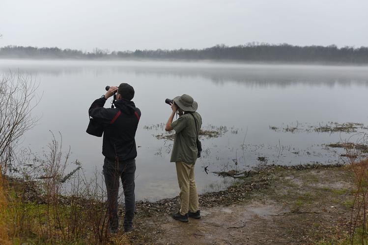 Young birdwatchers look to the skies for winged wonders | Visuals ...