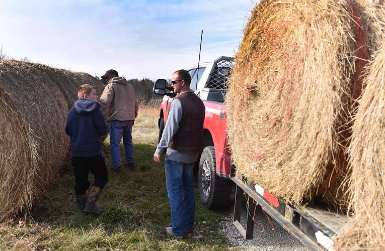 Rhineland: A day on the farm | Photos | columbiamissourian.com
