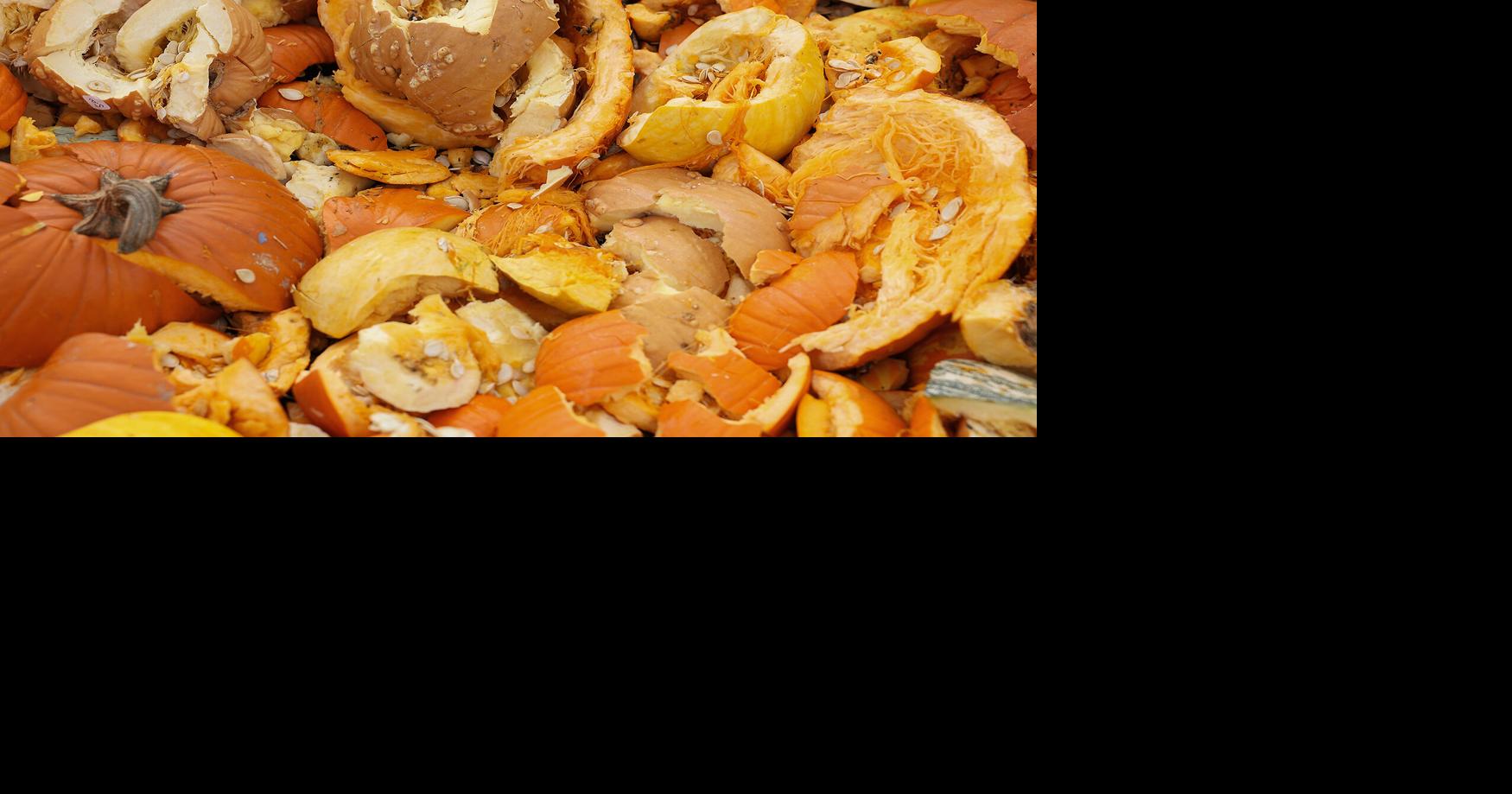 Smashed pumpkins sit in a pile | Local | columbiamissourian.com