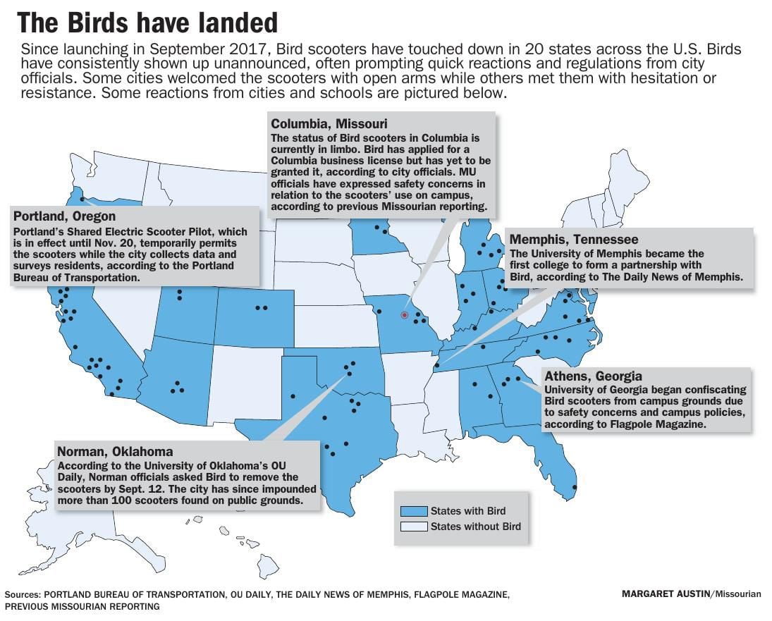 The Birds have landed | Visuals | columbiamissourian.com