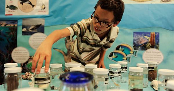 BENTON STEPHENS: Benton Elementary transitions into STEM school | Local ...