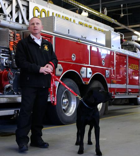 Arson dog shows off skills with Columbia Fire Department | Local ...